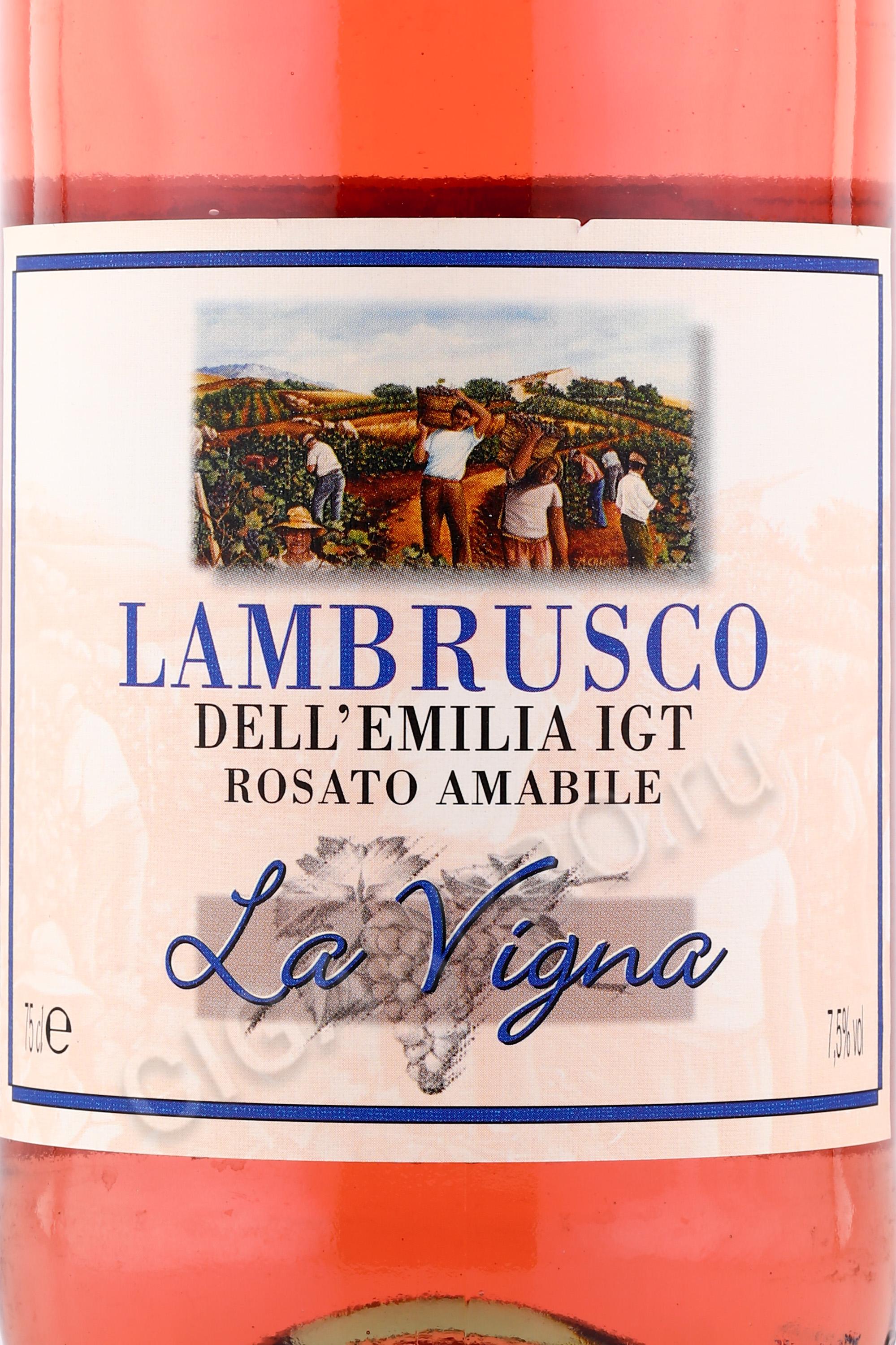 Lambrusco Dell Emilia IGT La Vigna Rosato Amabile Игристое вино ...